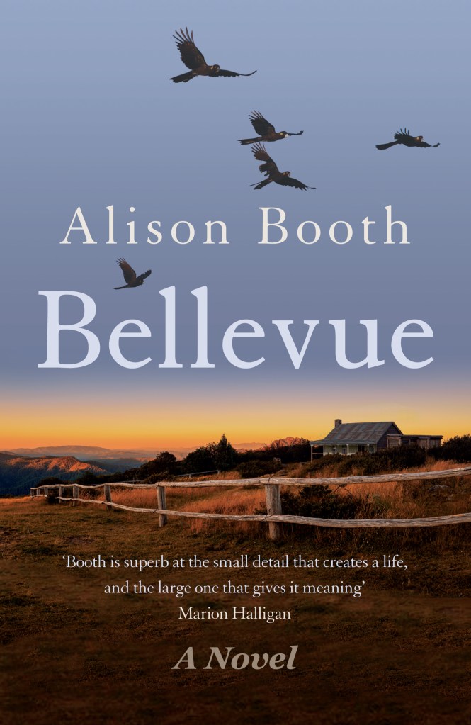 Bellevue by Alison Booth [A Review] – We Need to Talk About Books