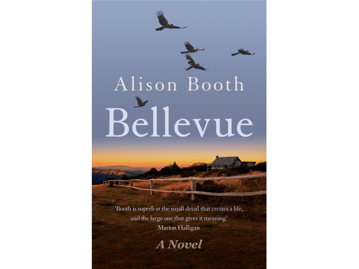 Bellevue by Alison Booth [A Review] – We Need to Talk About Books